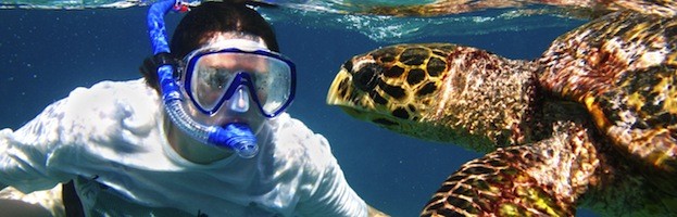 Humans and Sea Turtles